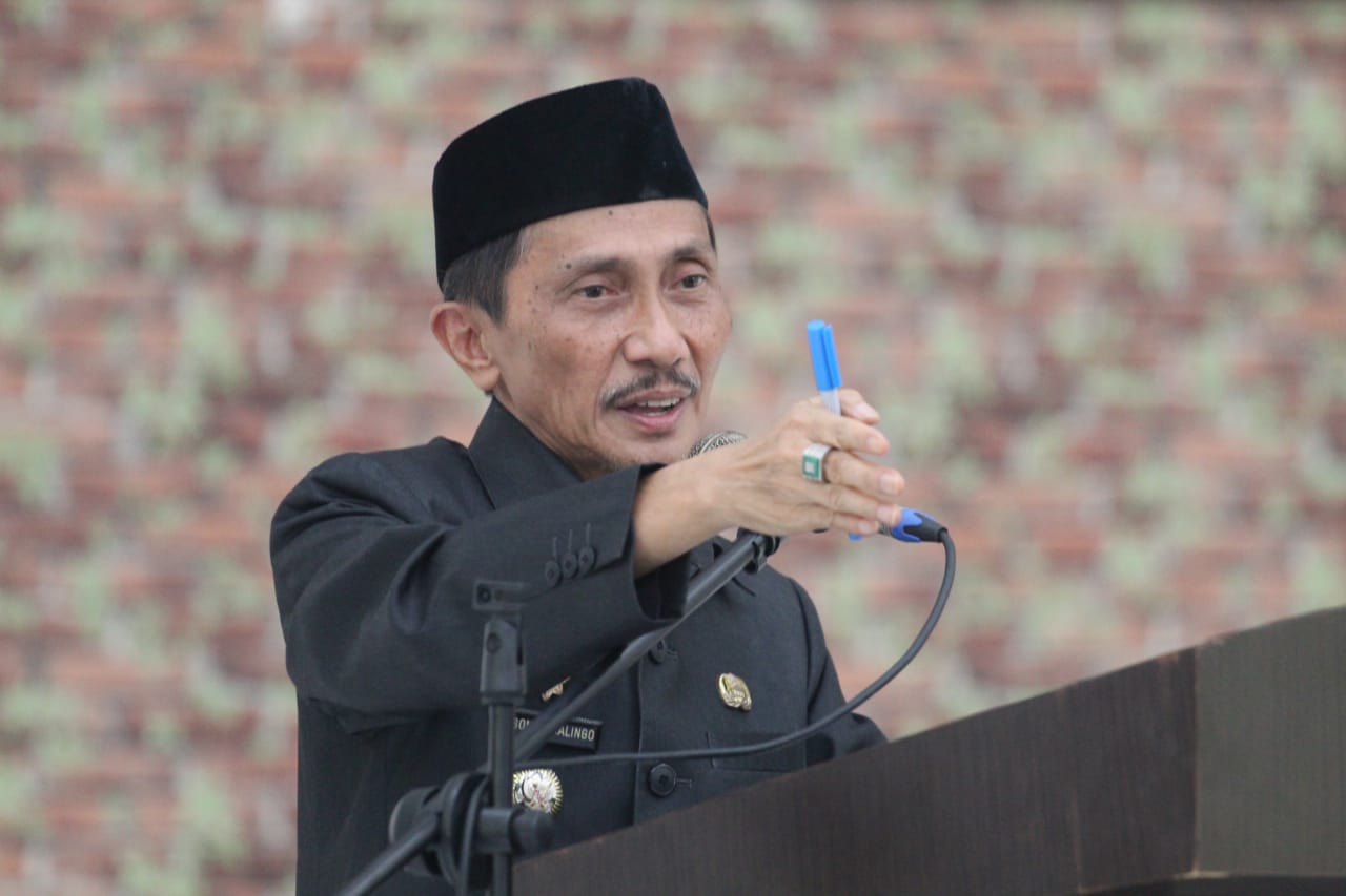 Honorer Tak Masuk Database, Masih Ada Peluang Diperpanjang - 60dtk.com Honorer Tak Masuk Database, Masih Ada Peluang Diperpanjang - 60dtk.com